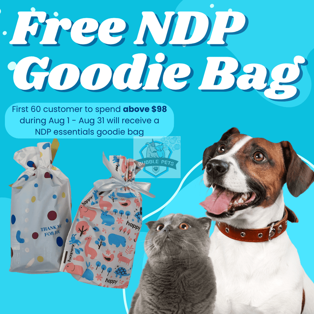 Bubble Pets Singapore Online Pet Store I Free Delivery — Singapore's ...