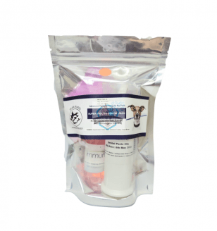 Jean Paul Nutraceuticals Natural Probiotic Dental Paste for Dogs (New ...