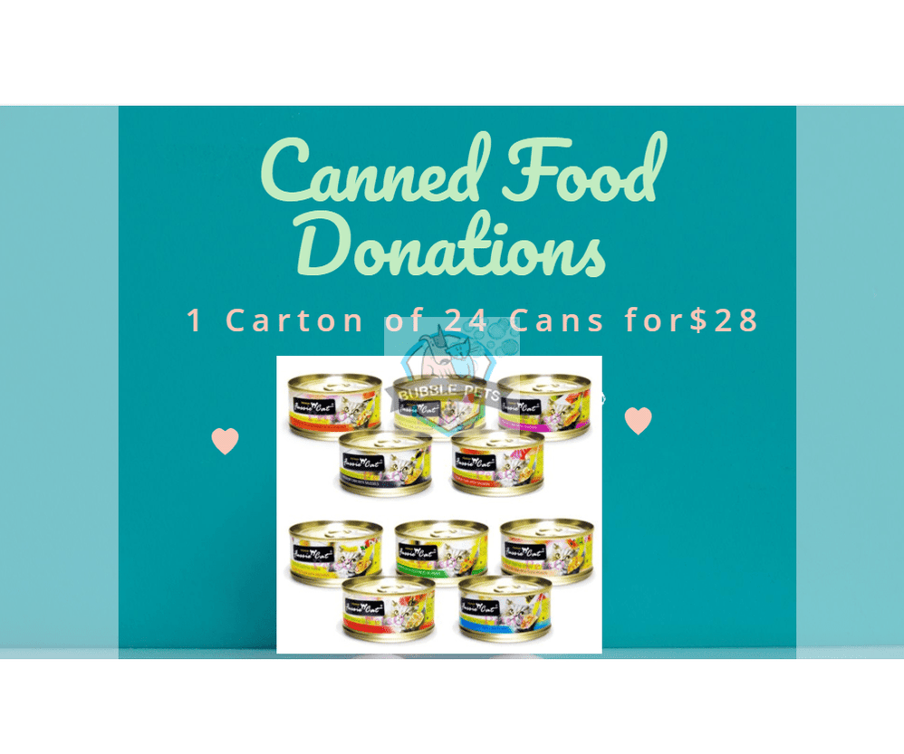 Bubble Pets Singapore Online Pet Store I Free Delivery — Singapore's ...