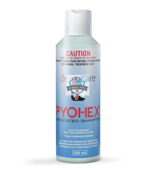 Pyohex Medicated Shampoo — Singapore's Pet Proficient Online Pet Store ...